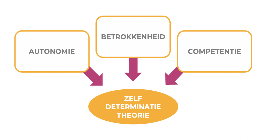 Zo help je mensen in beweging te komen: De zelfdeterminatie theorie ...